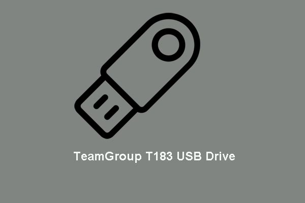 TeamGroup Launches the T183 USB Drives with Special Design - MiniTool