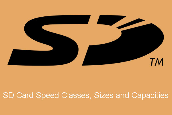 SD Card Speed Classes, Sizes and Capacities - All You Should Know ...