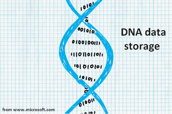 DNA Data Storage: Put Data Into A Single Nucleotide - MiniTool