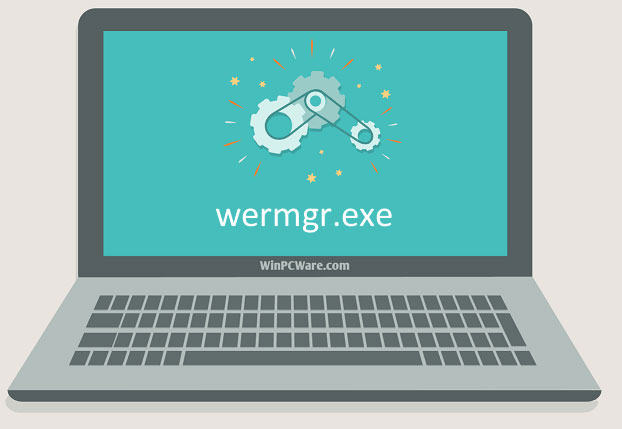 What Is Wermgr.exe and How to Fix High CPU Usage of It? - MiniTool