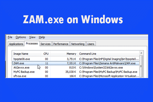 A Comprehensive Introduction to the ZAM.exe Executable on Windows ...