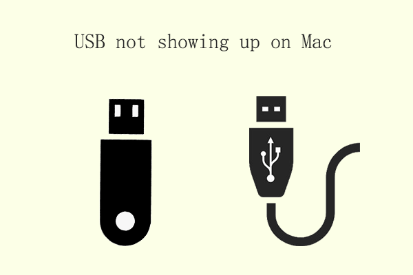 Why Is My USB Not Showing Up On Mac & How To Fix - MiniTool