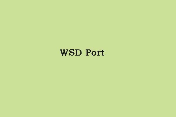 What Is The Wsd Port And How To Set Up And Connect It Minitool