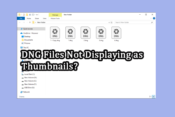 DNG Files Not Displaying as Thumbnails on Windows? 4 Solutions