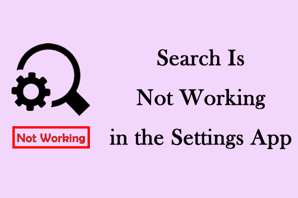 Search Is Not Working in the Settings App: Five Proven Ways