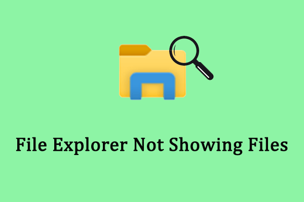 How to Fix File Explorer Not Showing Files on Windows