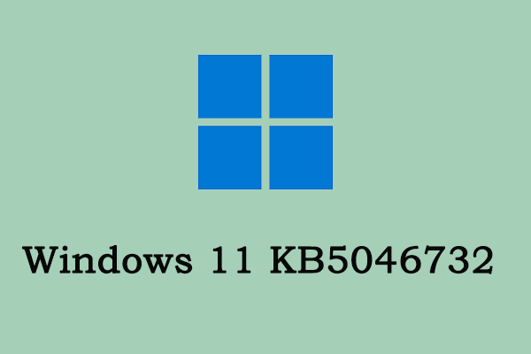Windows 11 KB5046732 With New Improvements: How to Install?