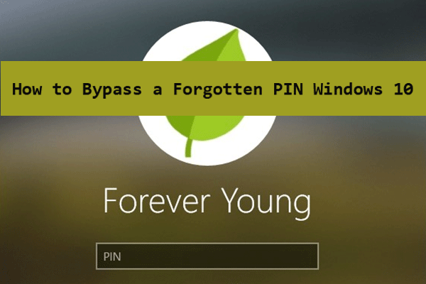 Exact Steps on How to Bypass a Forgotten PIN Windows 10 CMD