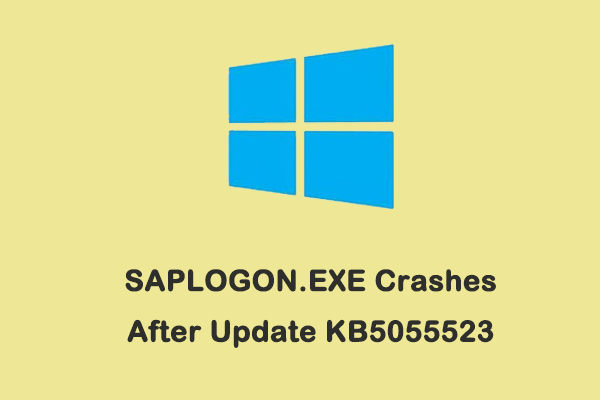 SAPLOGON.EXE Crashes After Update KB5055523? Fix It Now