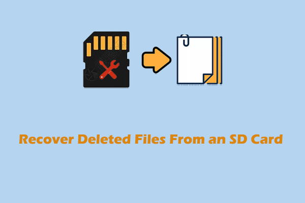Recover Deleted Files From an SD Card With Impactful Techniques