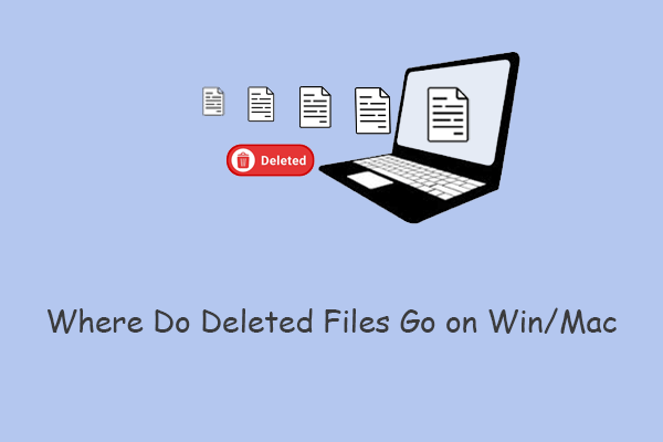 Where Do Deleted Files Go on Win/Mac? Quick Guide Here