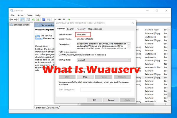 What Is Wuauserv and How to Fix Wuauserv High CPU Issue? - MiniTool