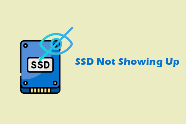 Exclusive Tips for SSD Not Showing Up on Windows 10/11