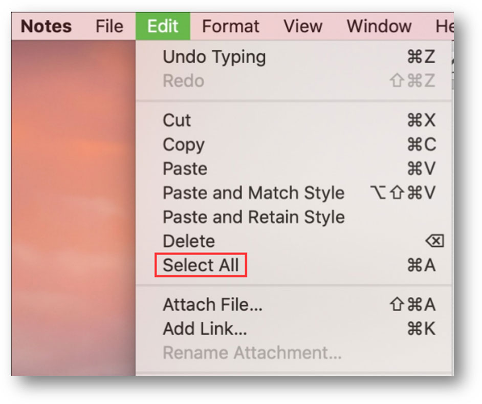 How to Select All in Different Cases? [2020 Update]