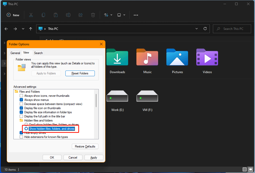 How To Open Folder Options In Windows 11 MiniTool How To Open Folder Options In Windows 11 MiniTool